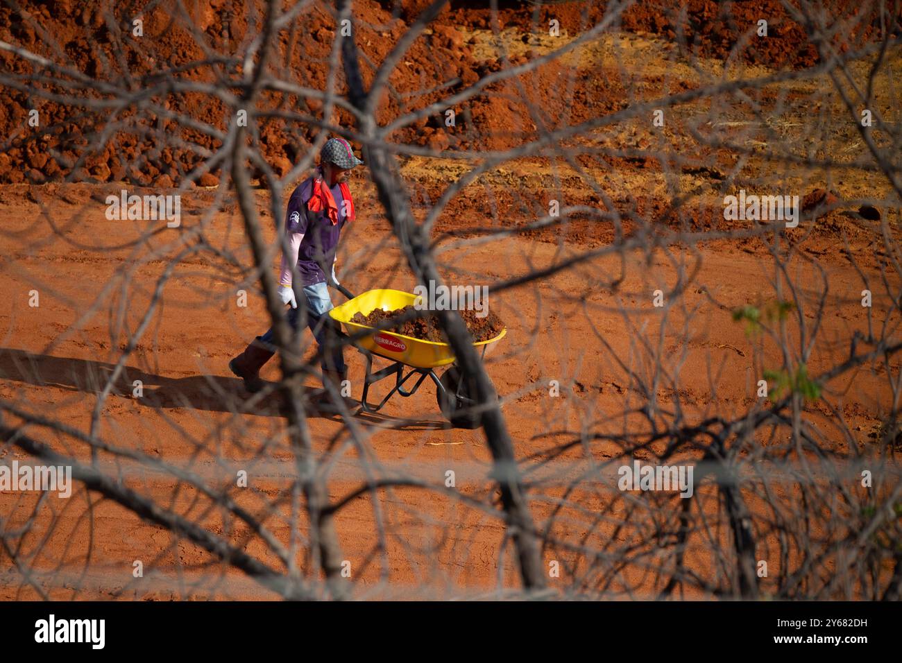 MARACAIBO, VENEZUELA. 24-09-2024. The coulors of the earth. Workers ...