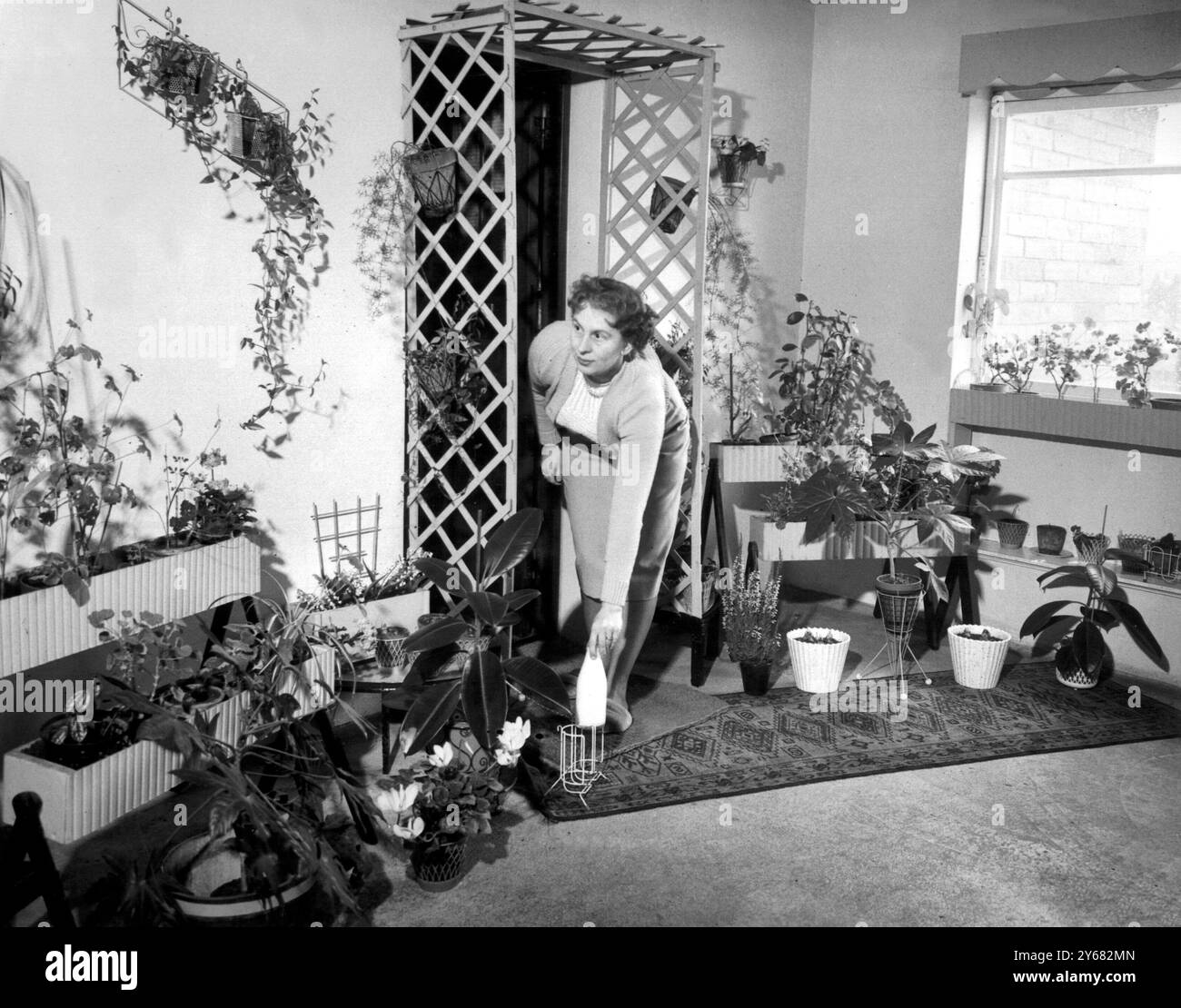 putting the milk out Stock Photo - Alamy