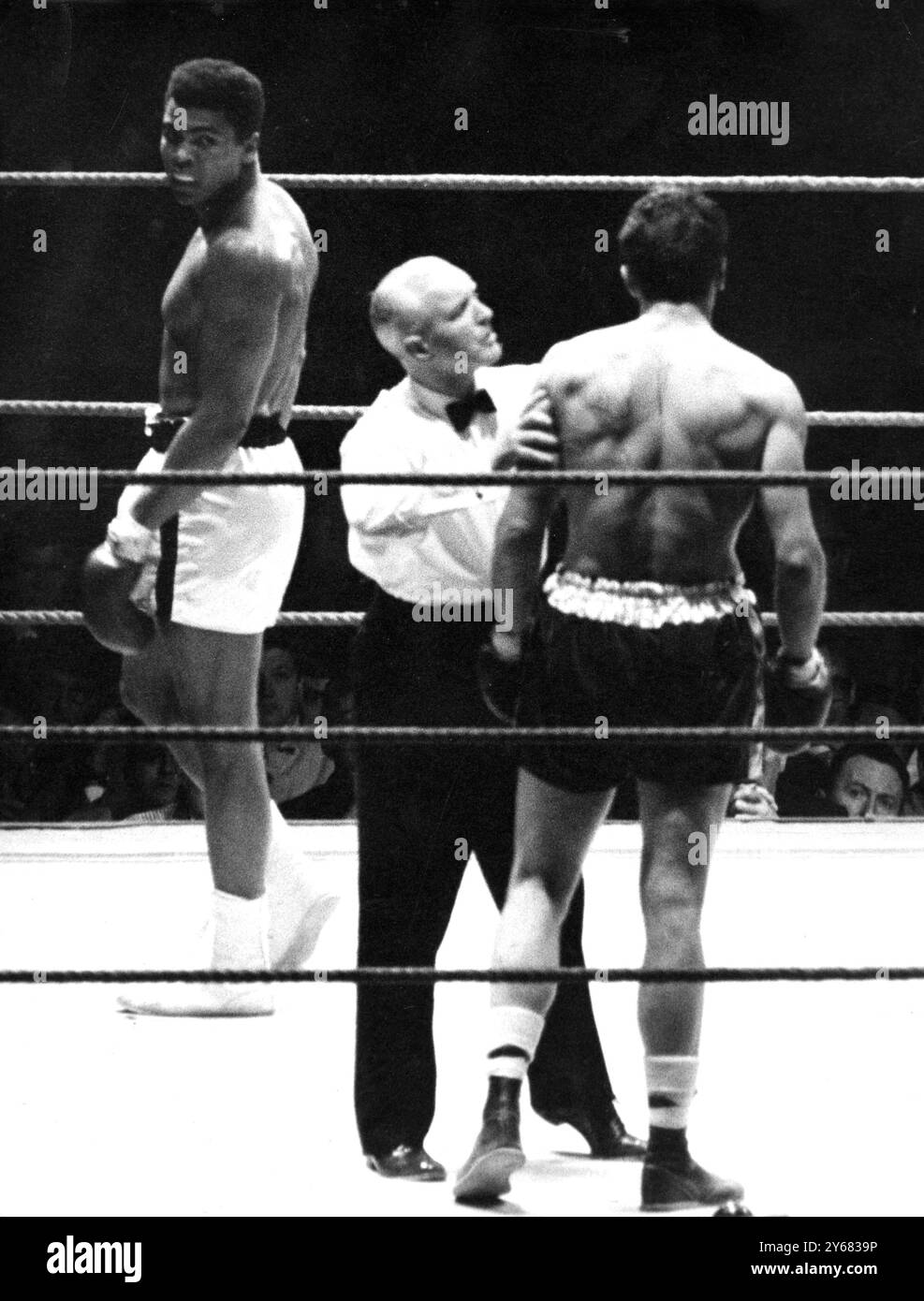 The referee stops the fight between Cassius Clay, and Henry Cooper, as ...
