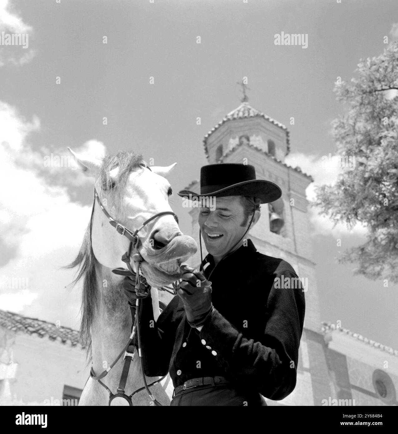 Horse giving a toothy smile as he receives a piece of sugar from his ...