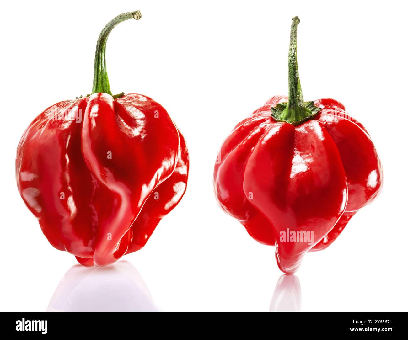 Red Savina habanero pepper isolated on white background Stock Photo - Alamy