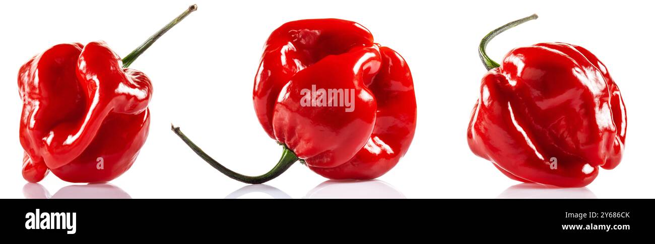 Red Savina habanero peppers isolated on white background Stock Photo ...