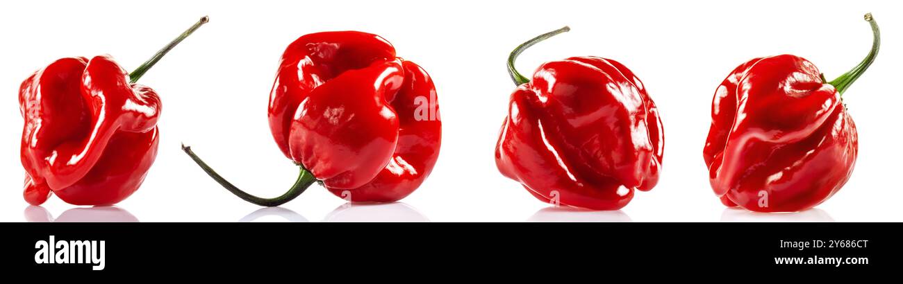 Red Savina habanero peppers isolated on white background Stock Photo ...