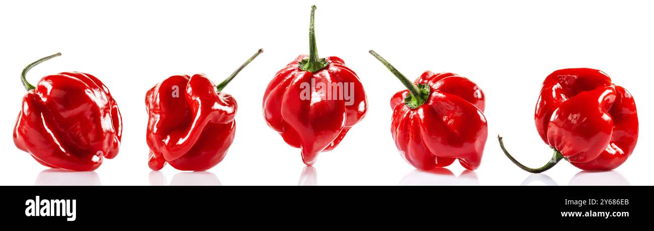 Savina Cut Out Stock Images & Pictures - Alamy