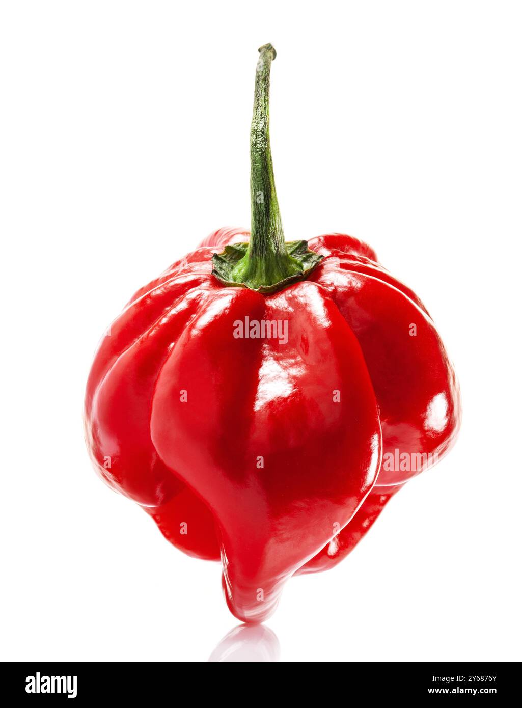 Red Savina habanero pepper isolated on white background Stock Photo - Alamy