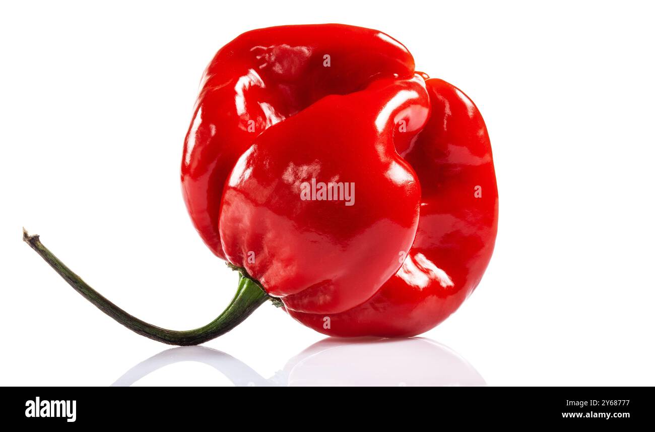 Red Savina habanero pepper isolated on white background Stock Photo - Alamy