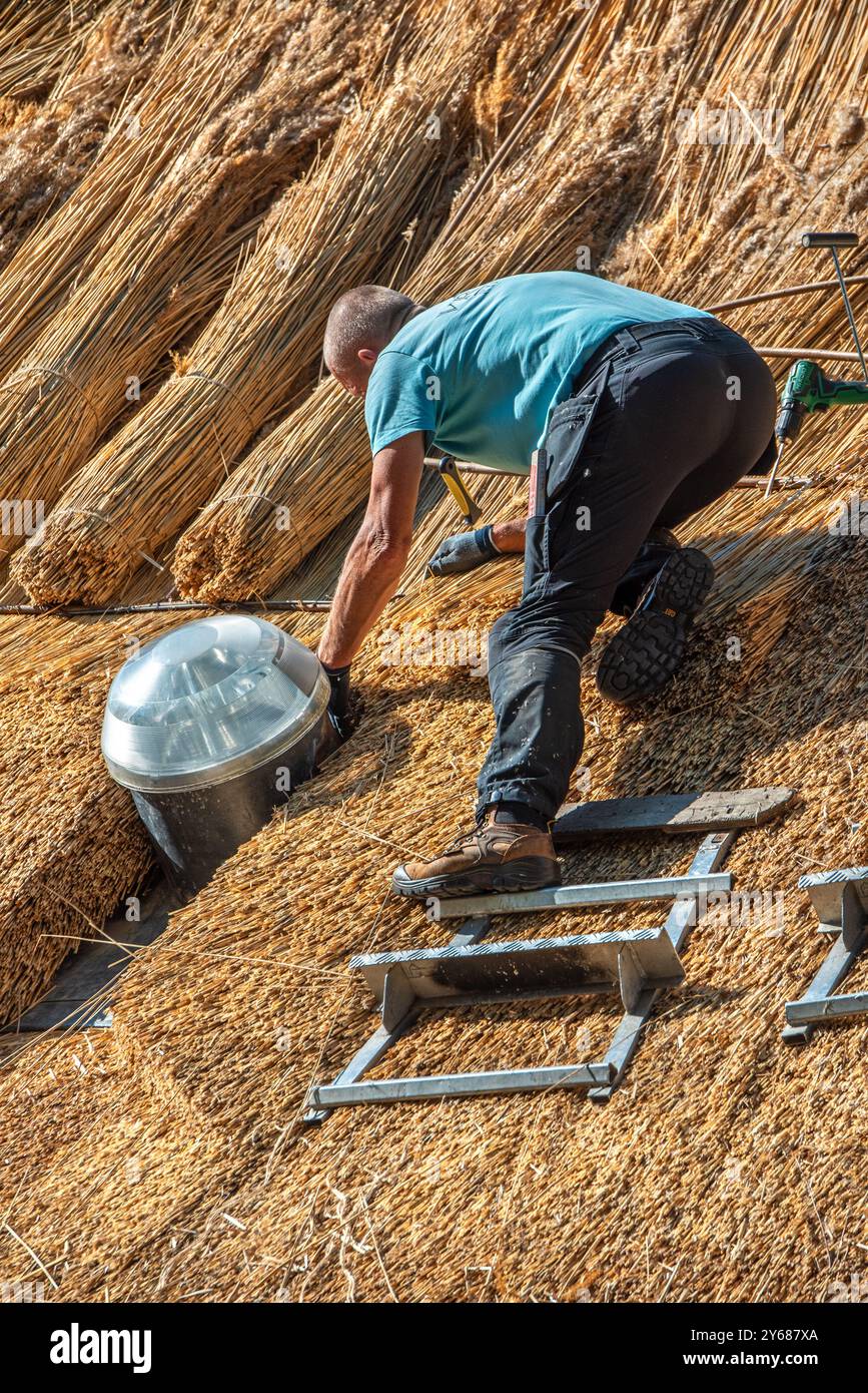Thatch works by thatcher on thatched roof showing yelms, bundles of ...