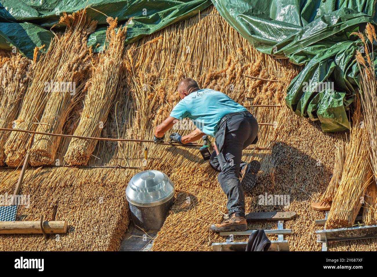 Thatch works by thatcher on thatched roof showing yelms, bundles of ...