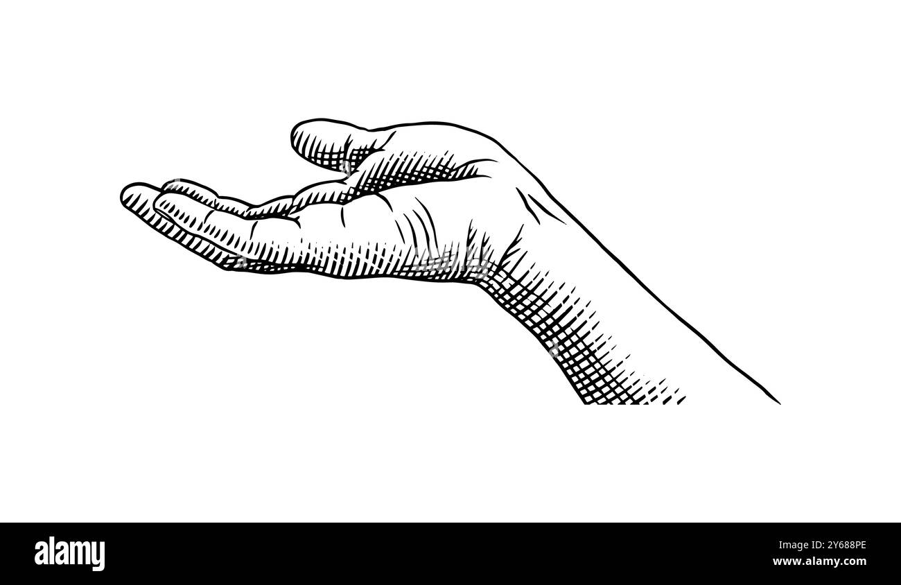 Open Hand Clipart Open Hands PNG, Vector, PSD, And Clipart With