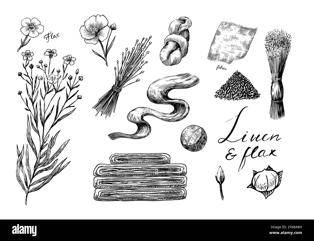 Hand drawn Linen seed and Flax flower. Vector clipart illustration ...