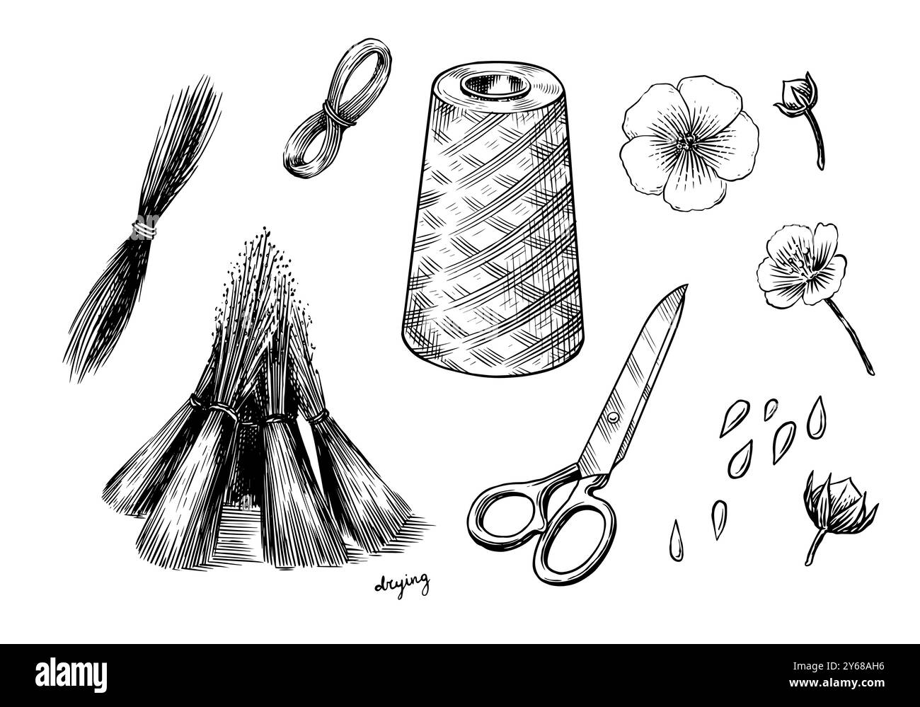 Hand drawn Linen seed and Flax flower. Vector clipart illustration ...