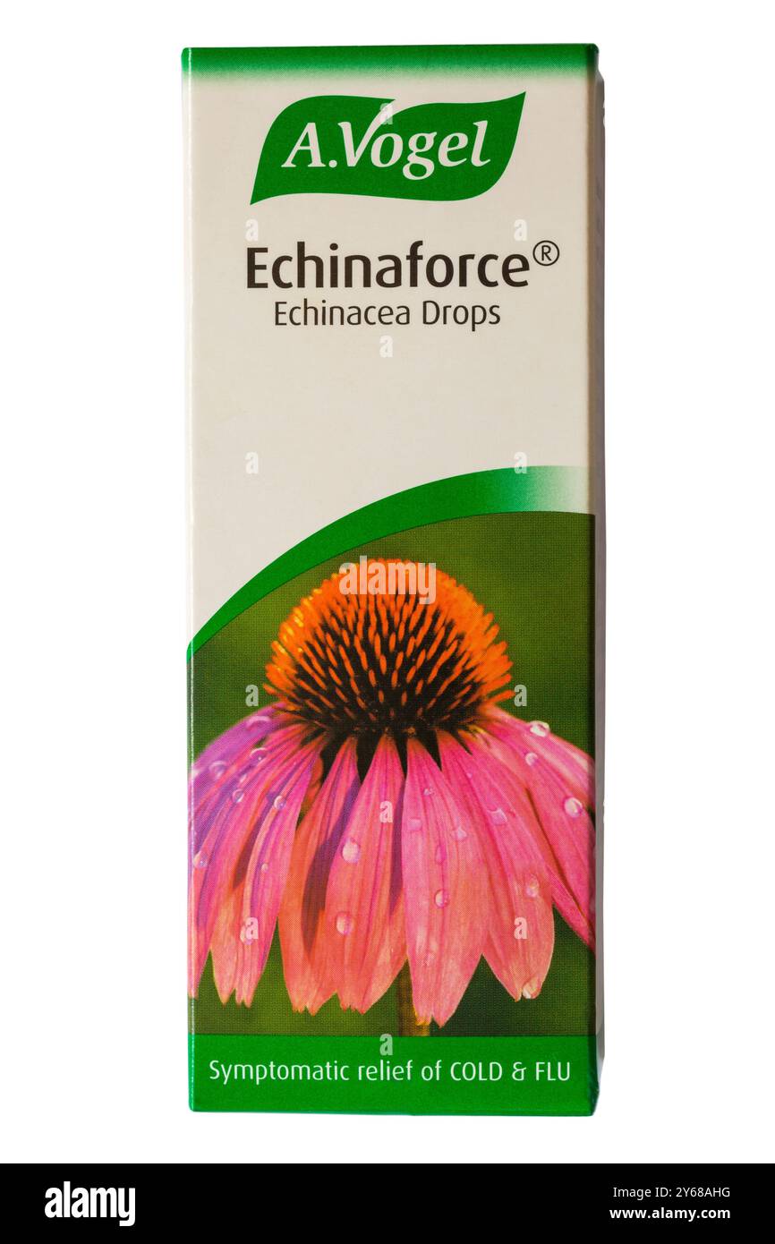 Immune system echinacea Cut Out Stock Images & Pictures - Alamy