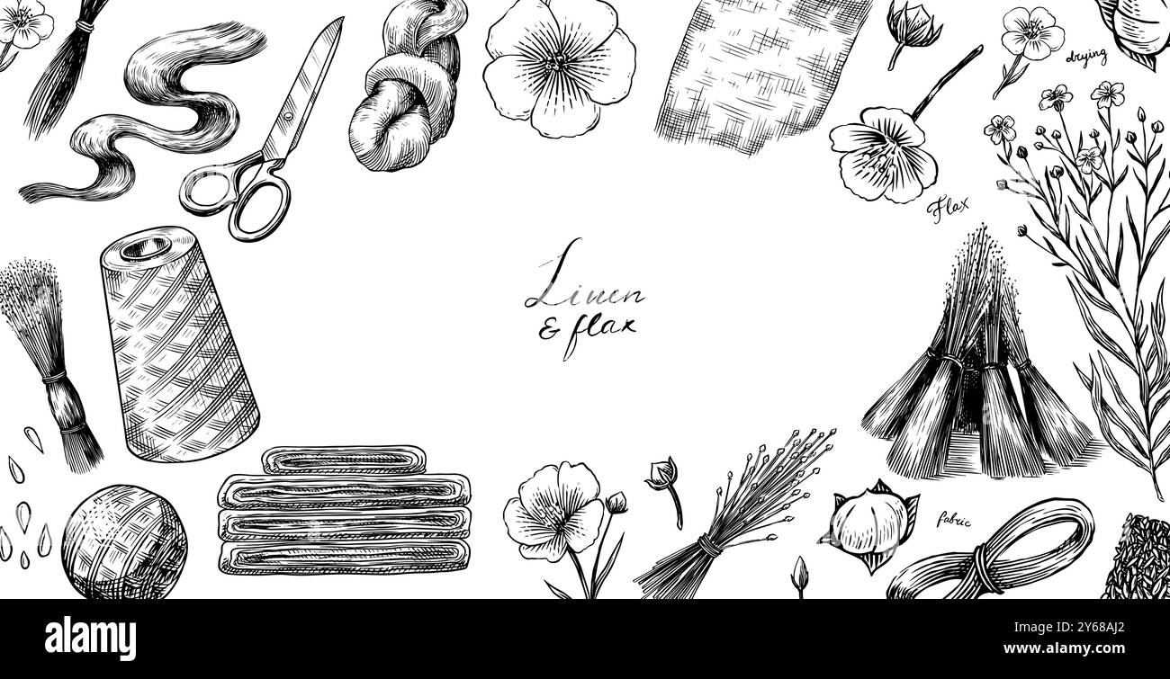 Hand drawn Linen seed and Flax flower. Vector clipart illustration ...