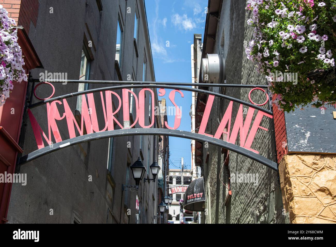 McMurdo's Lane sign in downtown St. John's, Newfoundland & Labrador ...