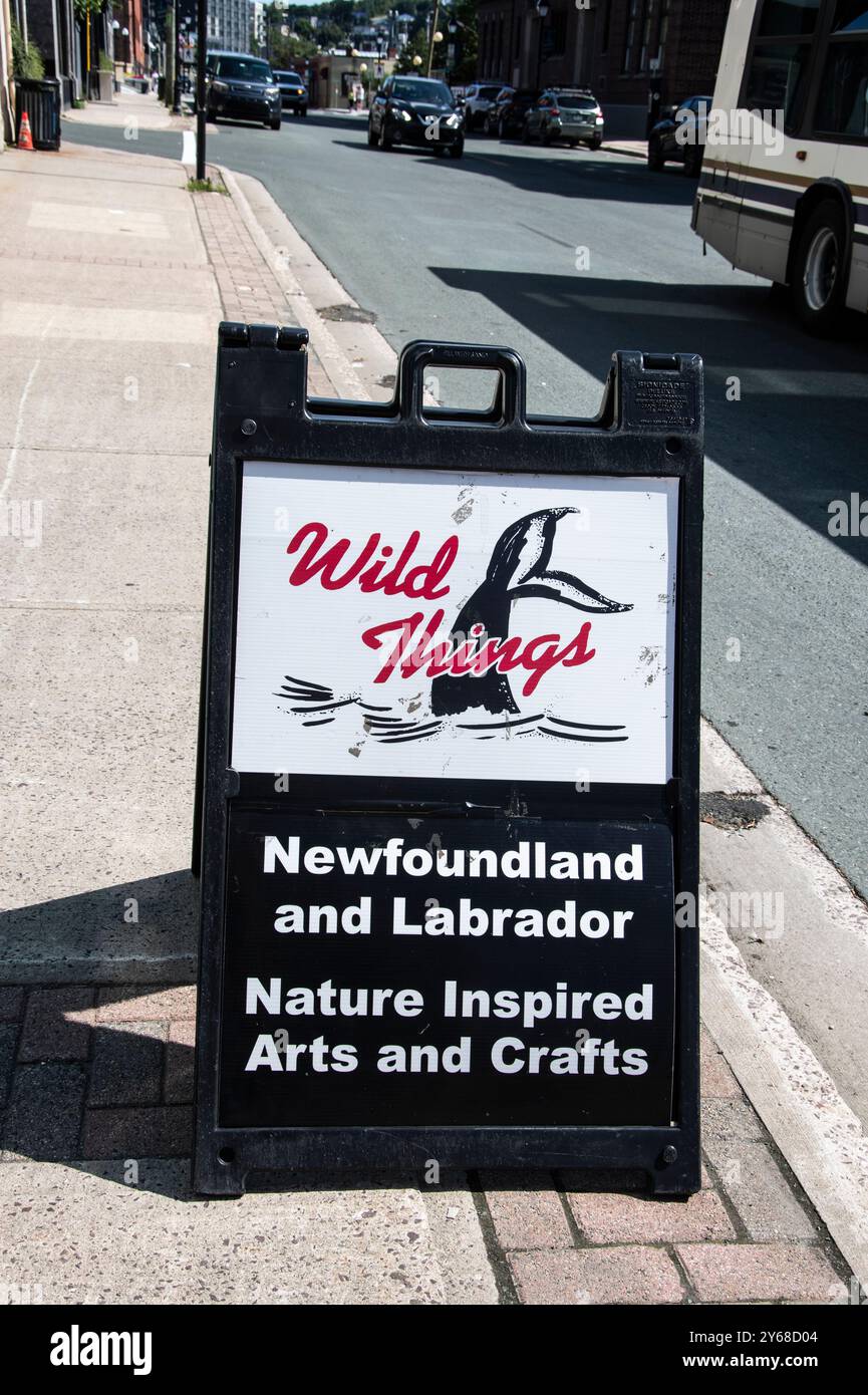 Wild Things Arts and Crafts sign on Water Street in downtown St. John's ...