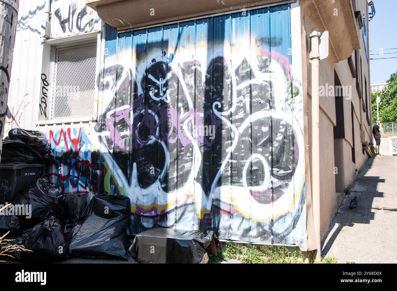 Graffiti tagged on a building near New Gower Street in downtown St ...