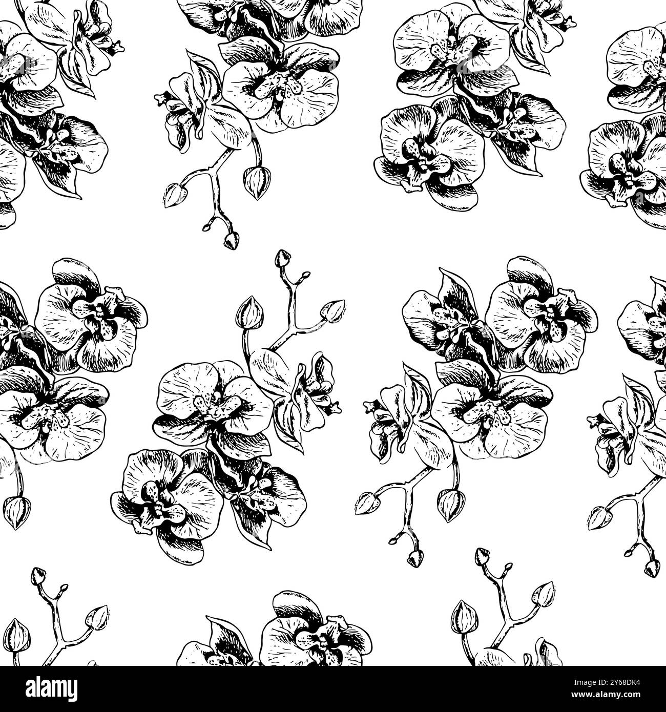 Seamless orchid pattern. A black and white vector graphic illustration ...