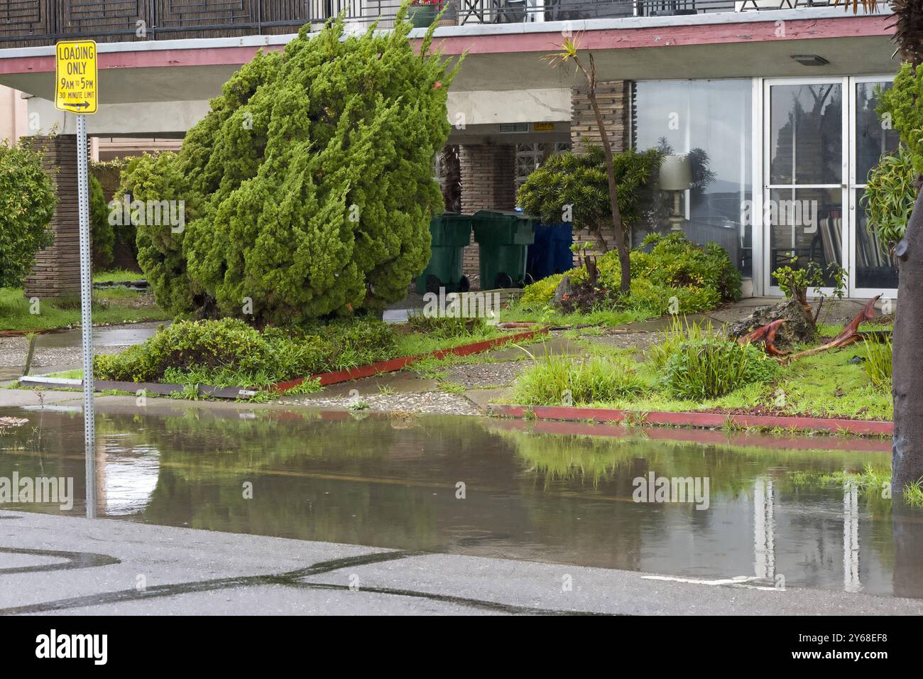 Sidewalk and side of road with standing water, flooded after heavy rain ...
