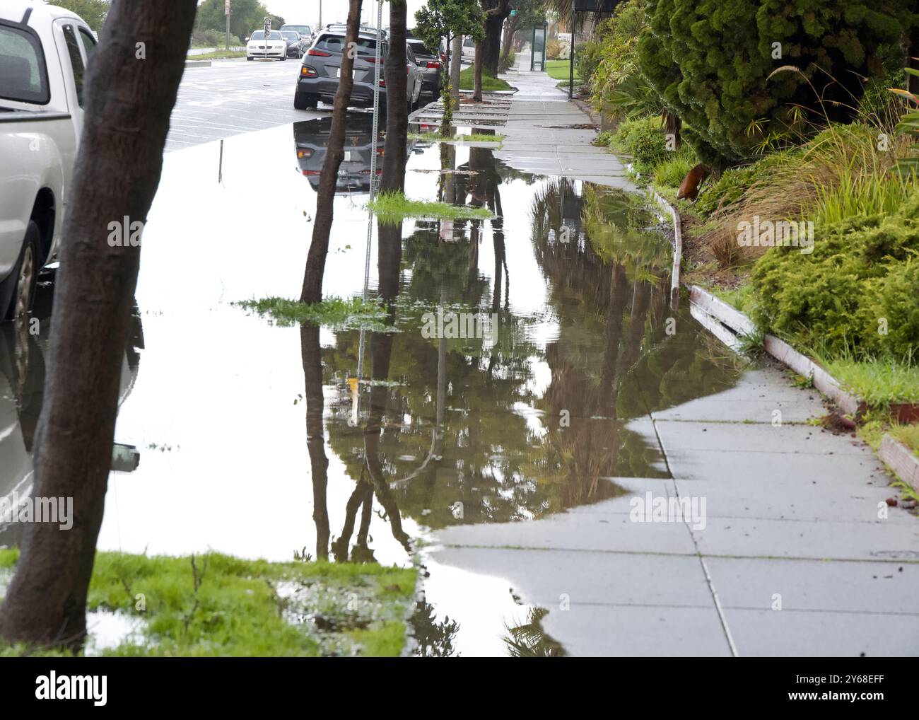 Sidewalk and side of road with standing water, flooded after heavy rain ...