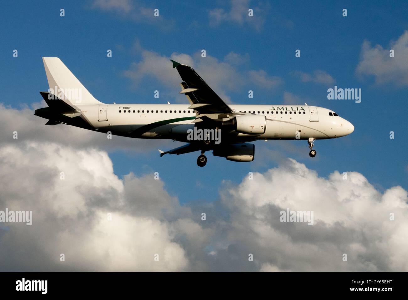 Amelia, Aviation Company, Airways Airline Airlines Operated Commercial ...