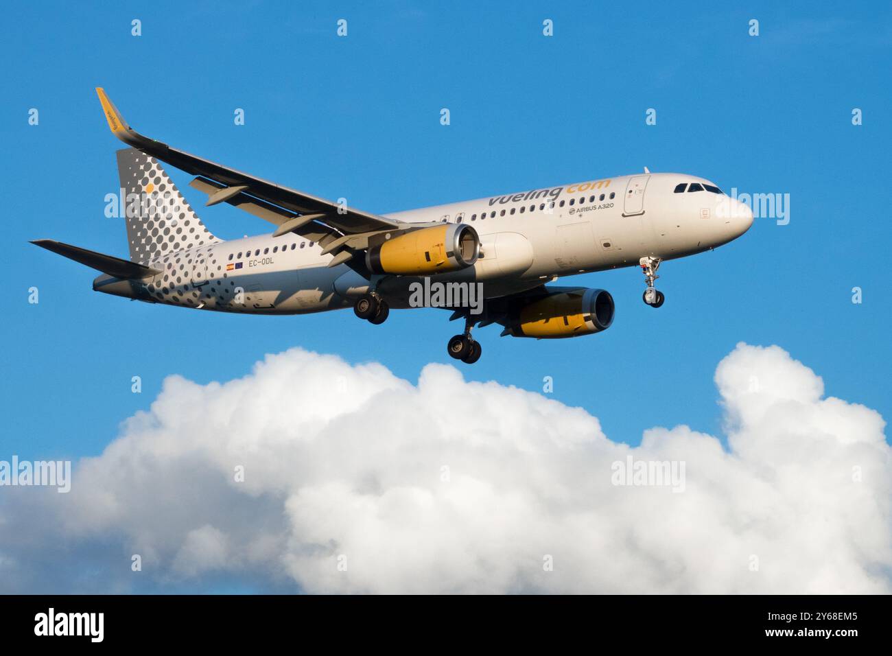 Vueling aeroplane Airbus A320 Plane Aircraft Airplane Jetliner Passenger Jet Airliner Air ...