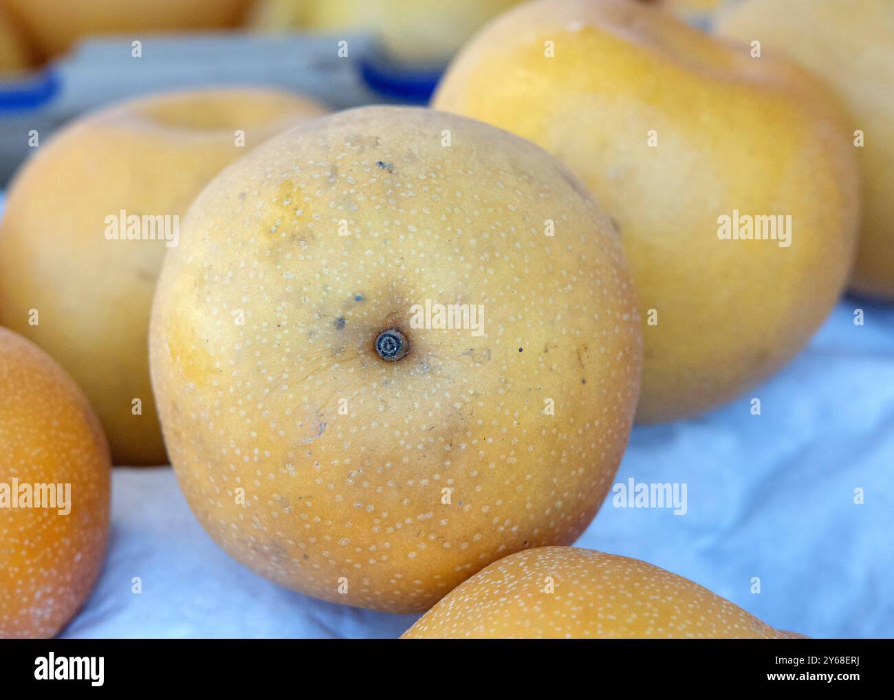 Asian pear shinko hi-res stock photography and images - Alamy