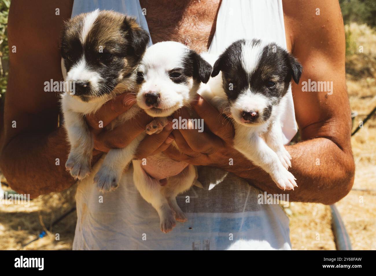 Tiny features hi-res stock photography and images - Alamy