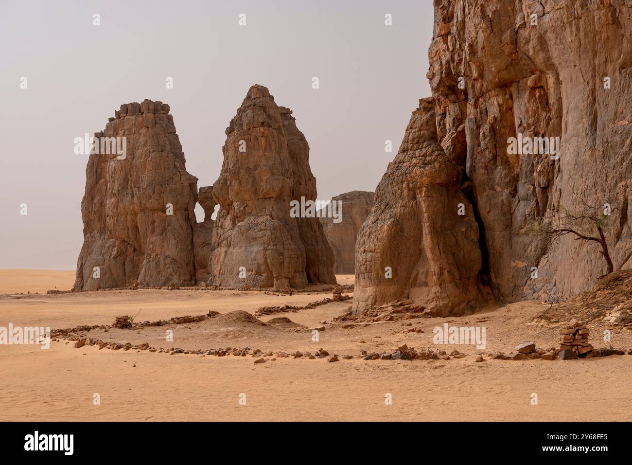 The cave engravings of the crying cow are a masterpiece of Neolithic ...