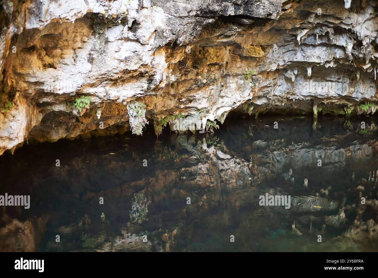 Layered rock formations create a textured ceiling in a cave. Natural ...