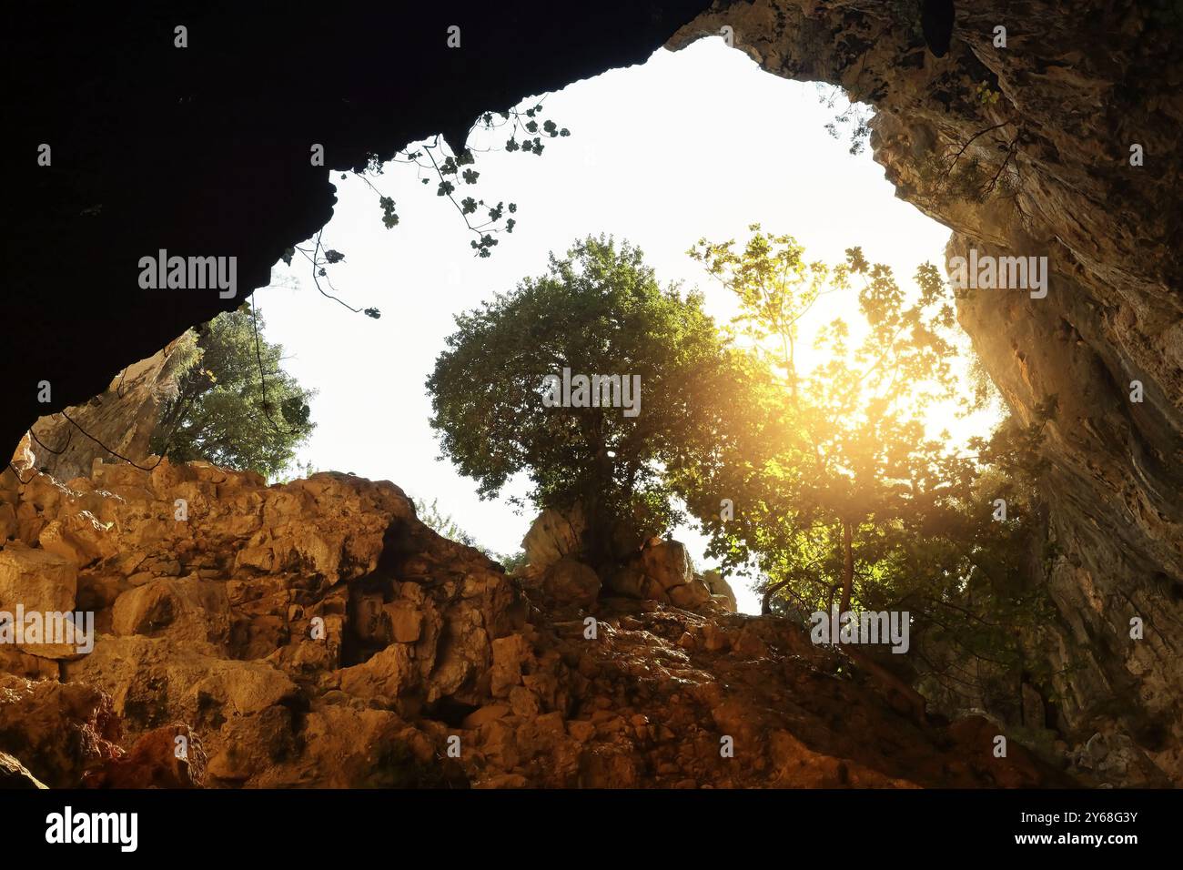 Sunlight streams through the trees at the entrance of a cave, casting ...