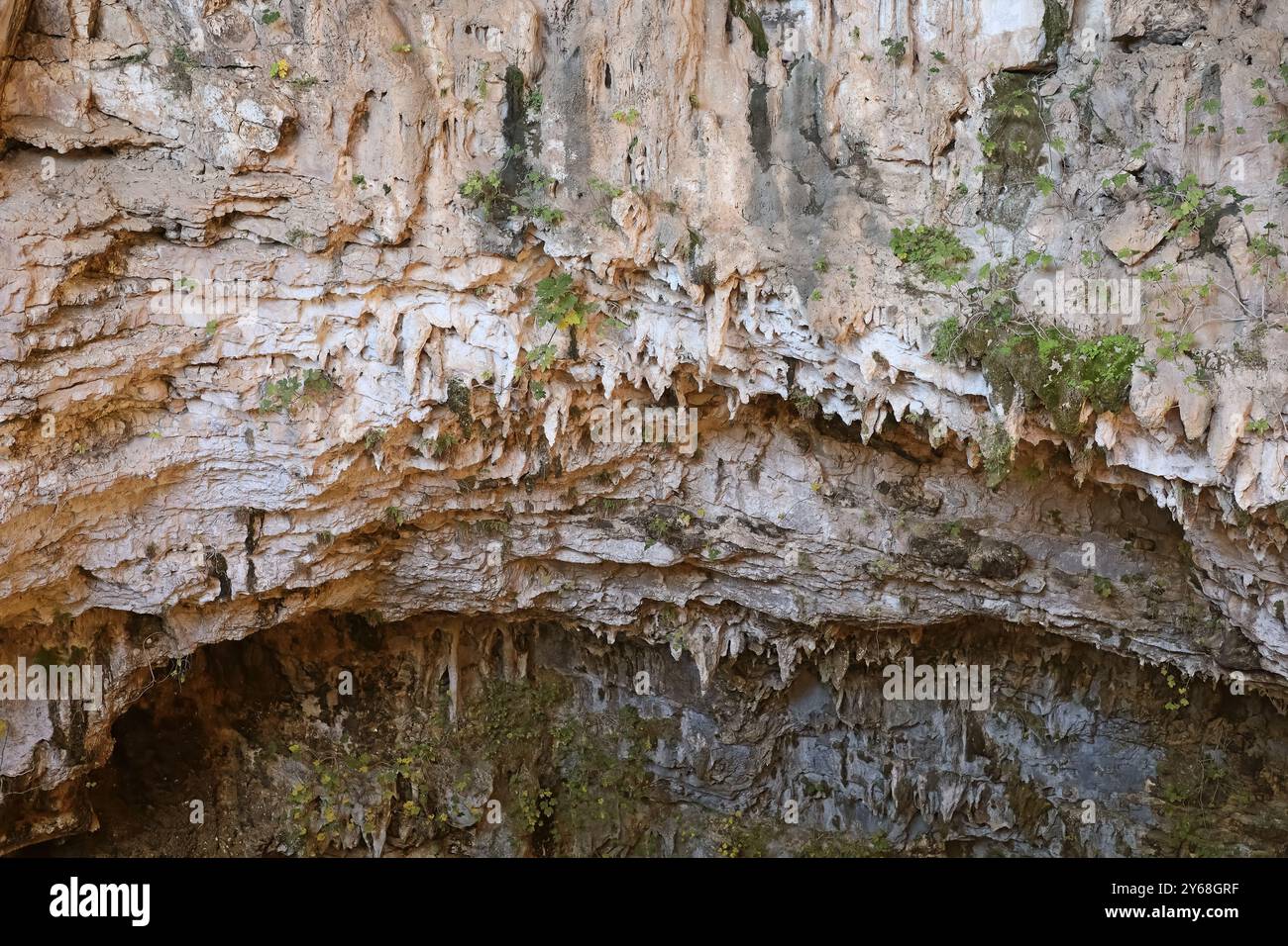 A steep cliff with rugged overhangs and sparse vegetation clinging to ...