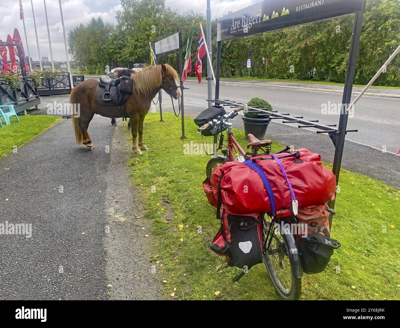 Flag on cycle hi-res stock photography and images - Alamy