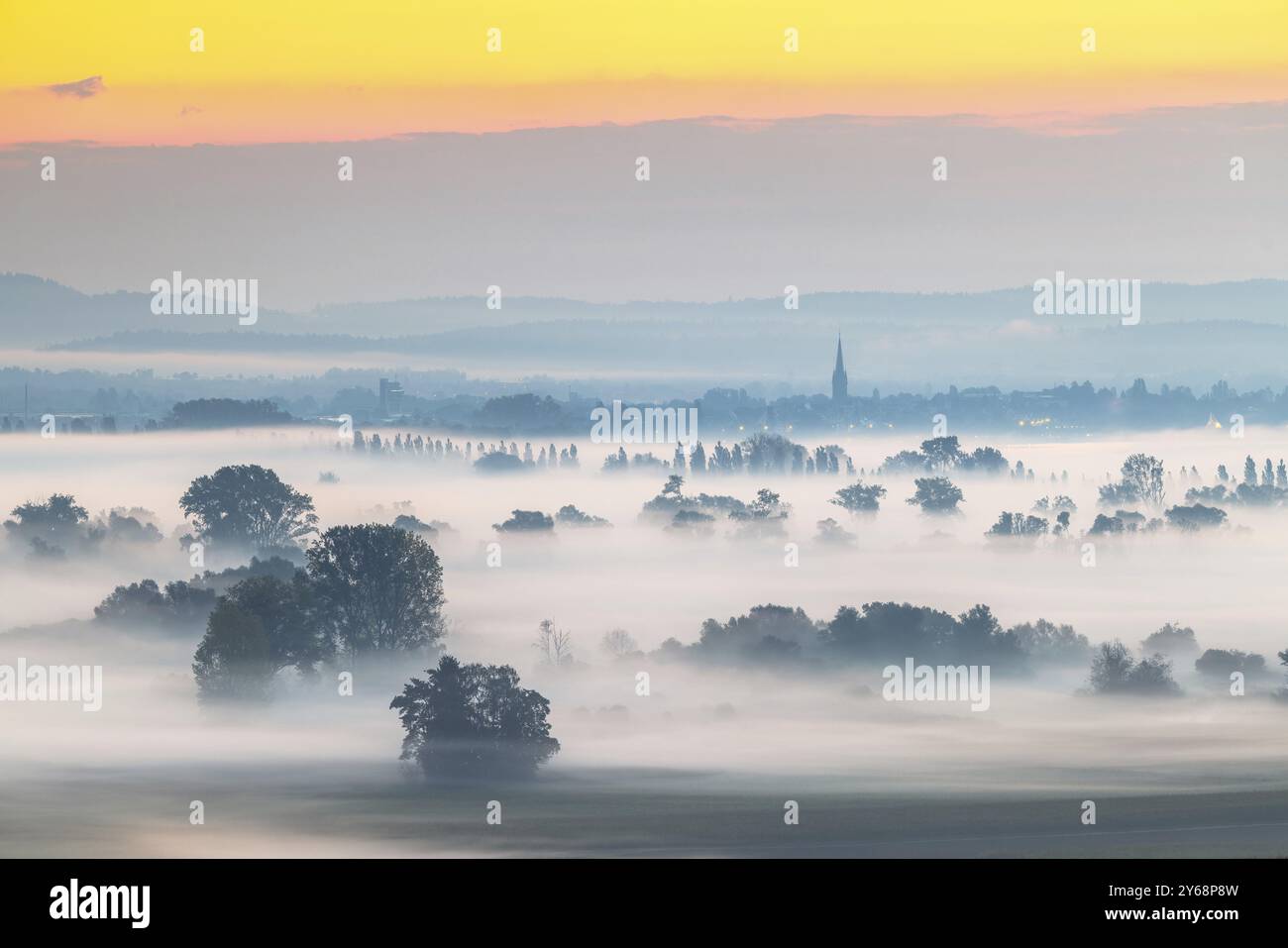 Dawn scene with fog, trees and cathedral tower in the background ...