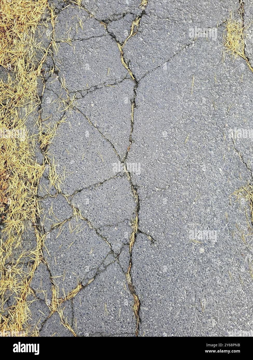 Road damage in the asphalt surface. The tarmac has several large cracks ...