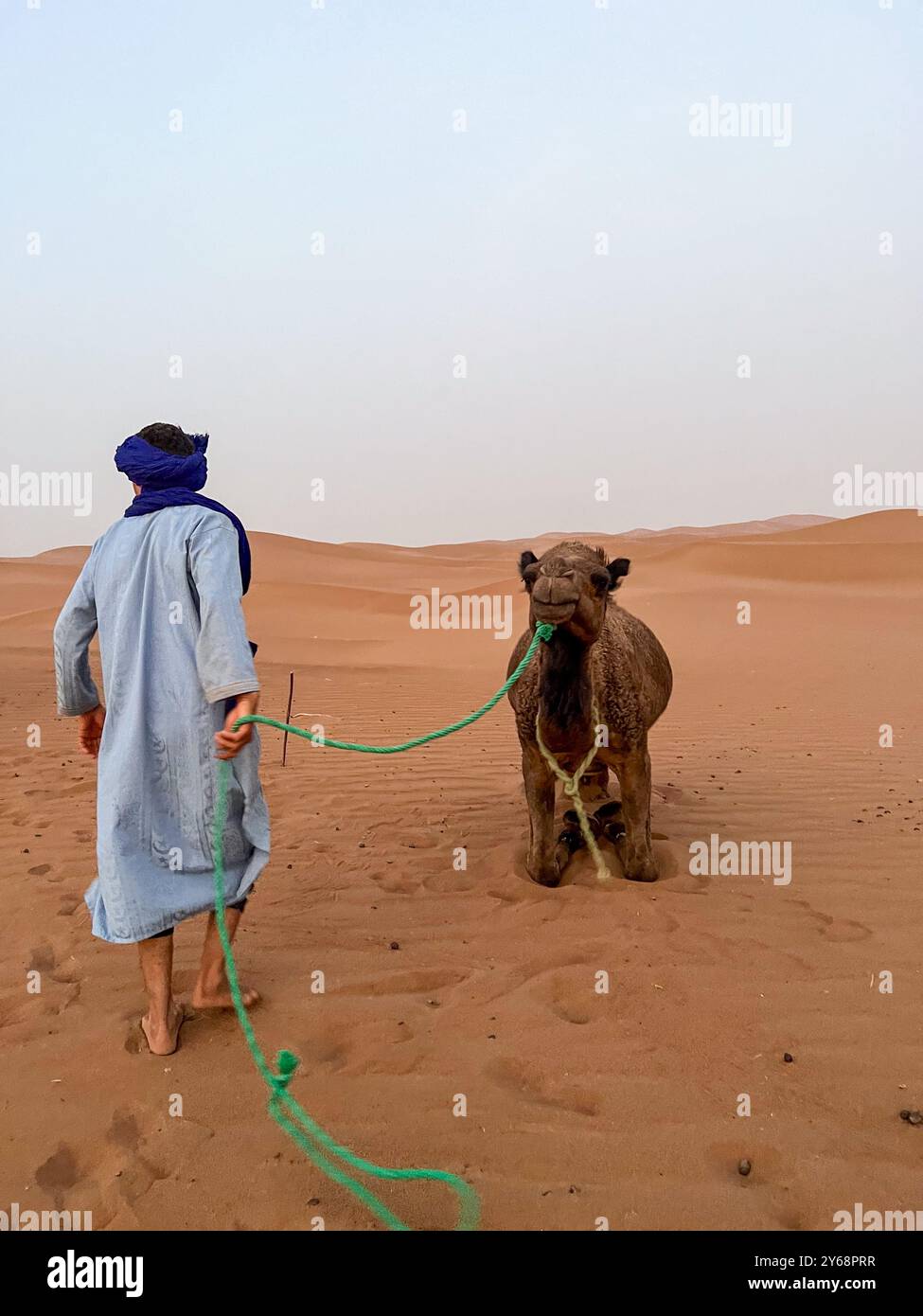 Berber man with his camel in Erg Chegaga desert, Morocco Stock Photo ...