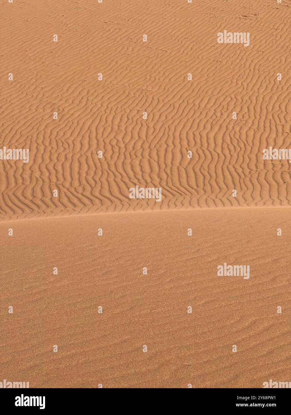 Yellow sand dune wavy pattern detail Stock Photo - Alamy
