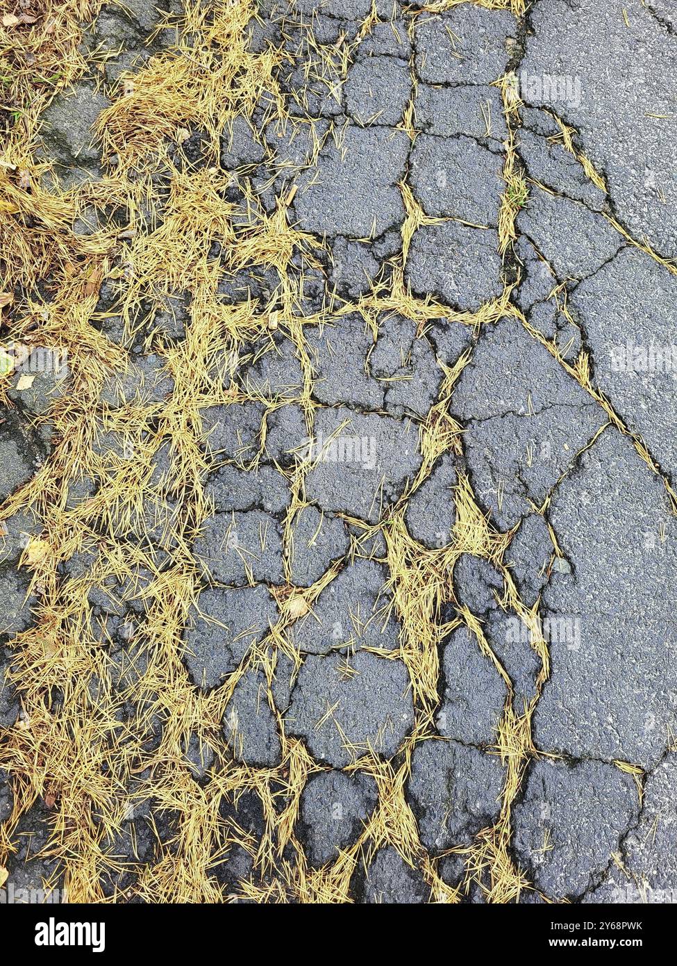 Road damage in the asphalt surface. The tarmac has several large cracks ...