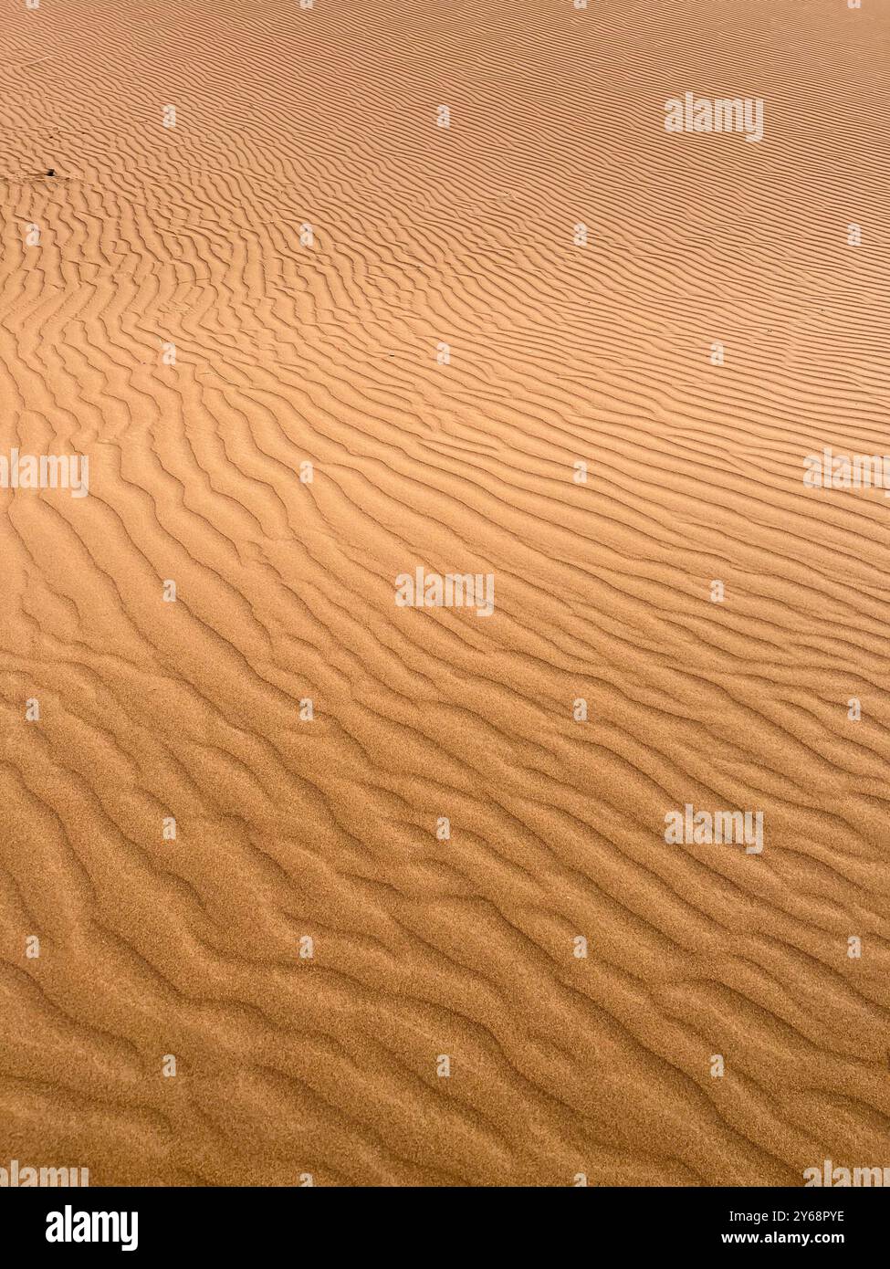 Yellow sand dune wavy pattern detail Stock Photo - Alamy