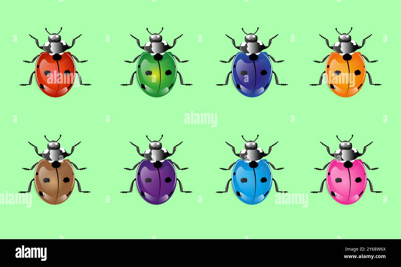 ladybugs background and anatomy Stock Vector Image & Art - Alamy