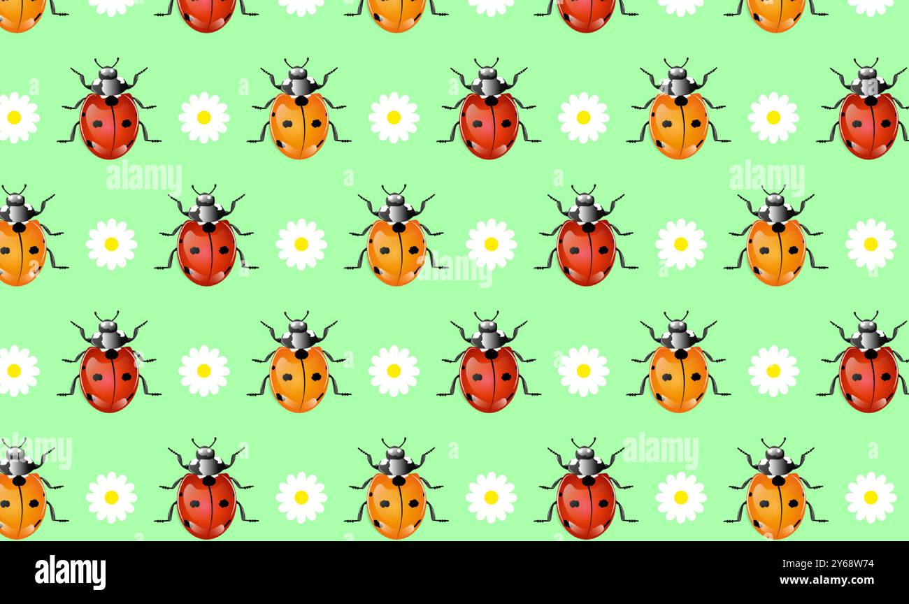 ladybugs background and anatomy Stock Vector Image & Art - Alamy