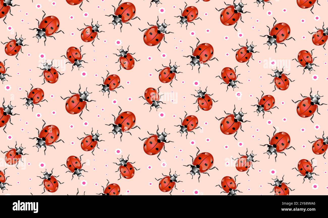 ladybugs background and anatomy Stock Vector Image & Art - Alamy