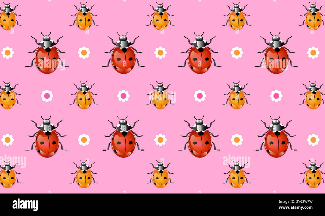 ladybugs background and anatomy Stock Vector Image & Art - Alamy