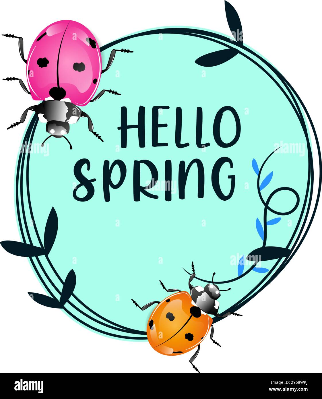 Anatomy of beetles Cut Out Stock Images & Pictures - Alamy