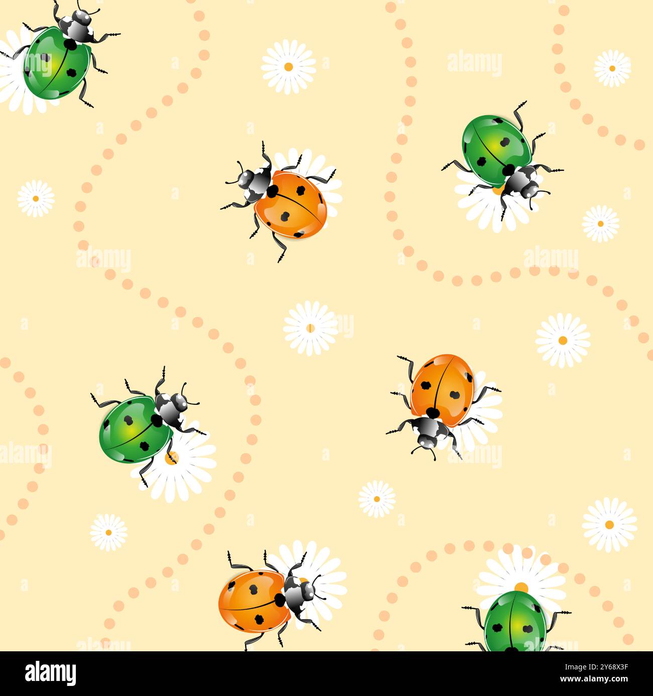 ladybugs background and anatomy Stock Vector Image & Art - Alamy