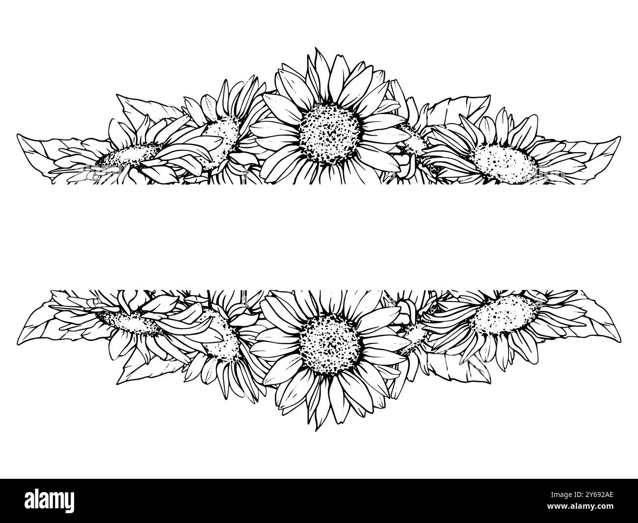 Horizontal Graphic Frame with Sunflower. Vector Flower in line art ...