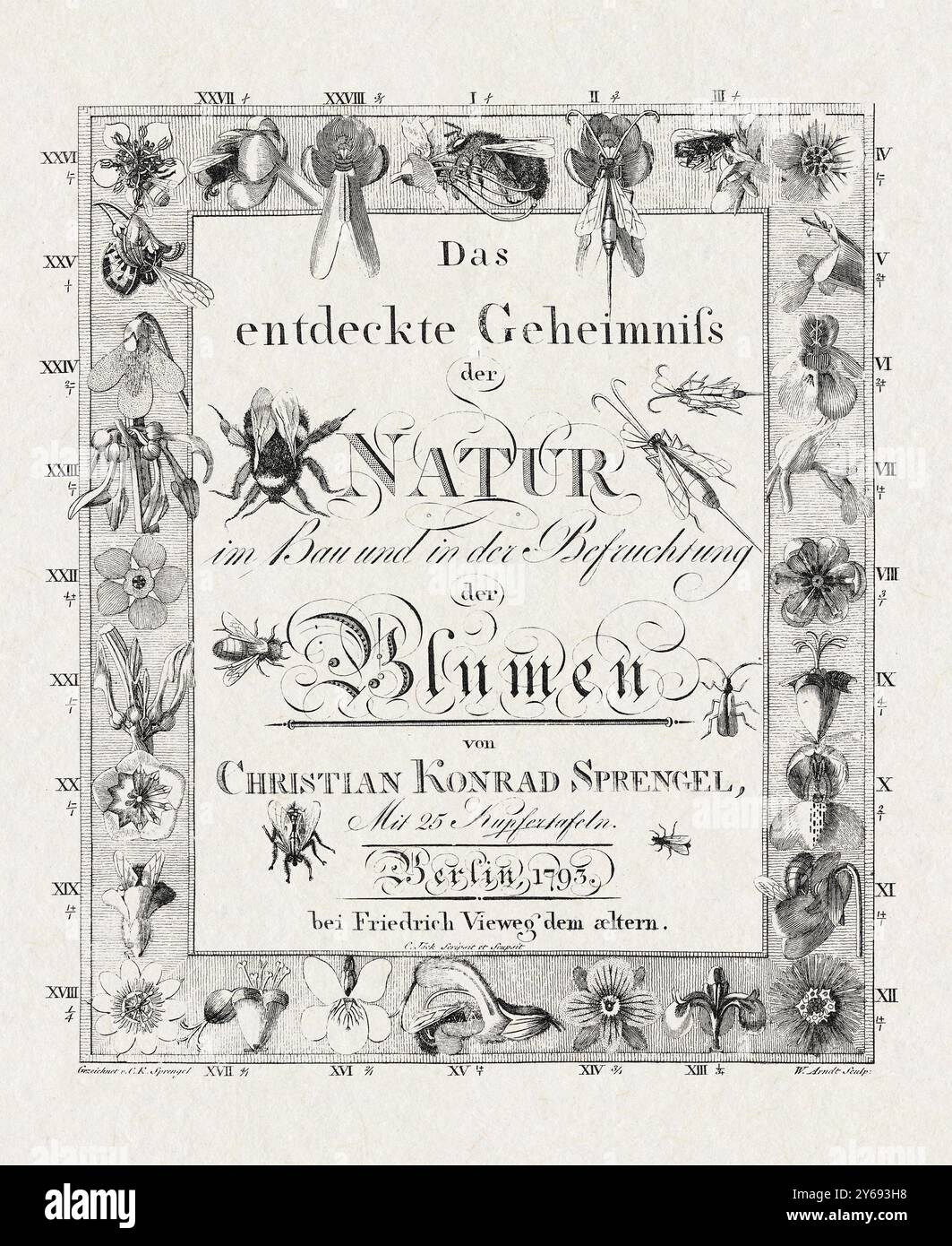 Botanical Title Page from a German book published in 1793. Detailed ...