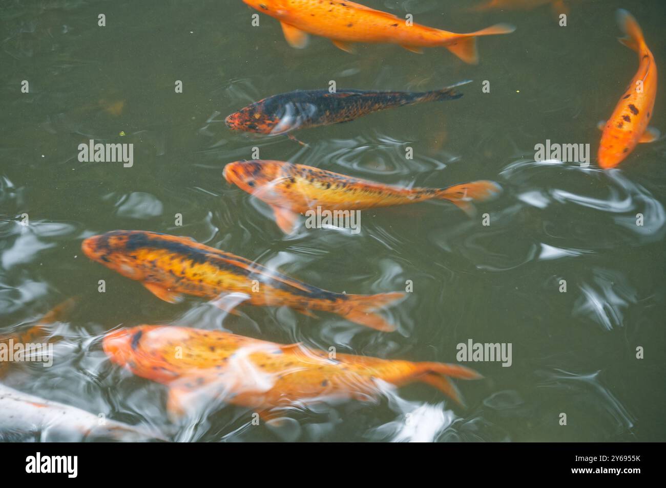 Motion moment hi-res stock photography and images - Alamy