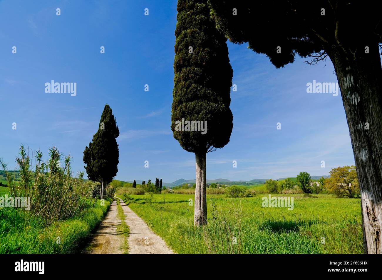 Panorama of the hills of Lajatico, birthplace of Andrea Bocelli ...