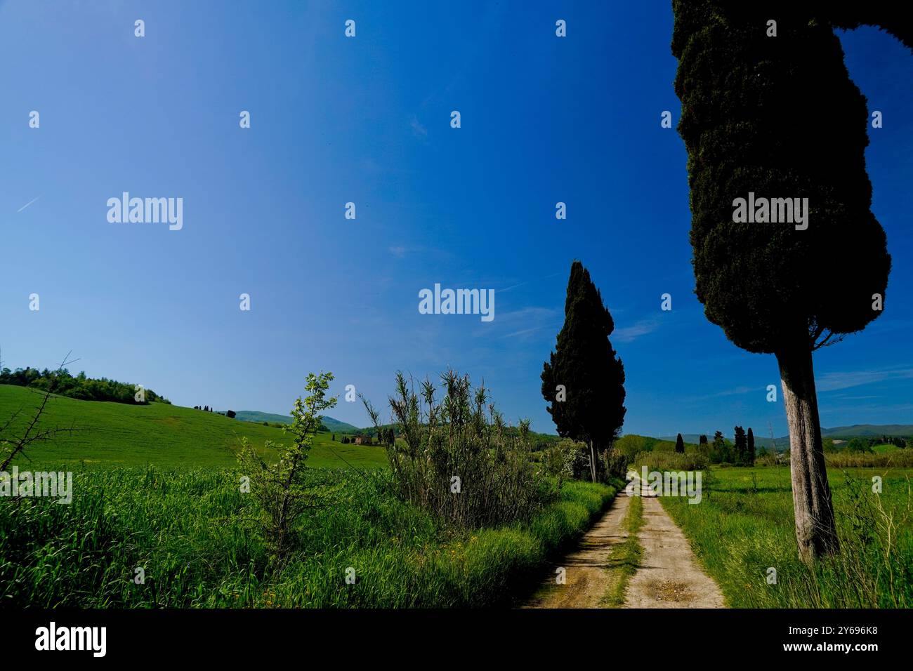Panorama of the hills of Lajatico, birthplace of Andrea Bocelli ...