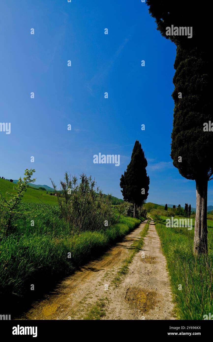 Panorama of the hills of Lajatico, birthplace of Andrea Bocelli ...